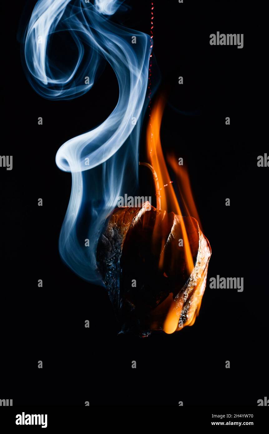 Vertical shot of a burning physalis, smoke, and fire Stock Photo - Alamy