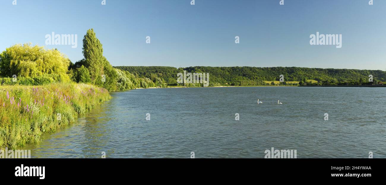 FRANCE, SEINE-MARITIME (76), BOUCLES DE LA SEINE NORMANDE REGIONAL ...