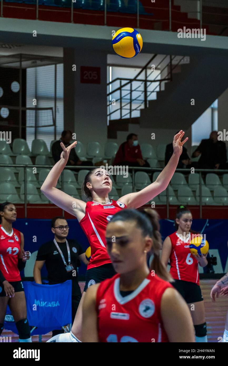 Turkish volleyball player hi-res stock photography and images - Alamy