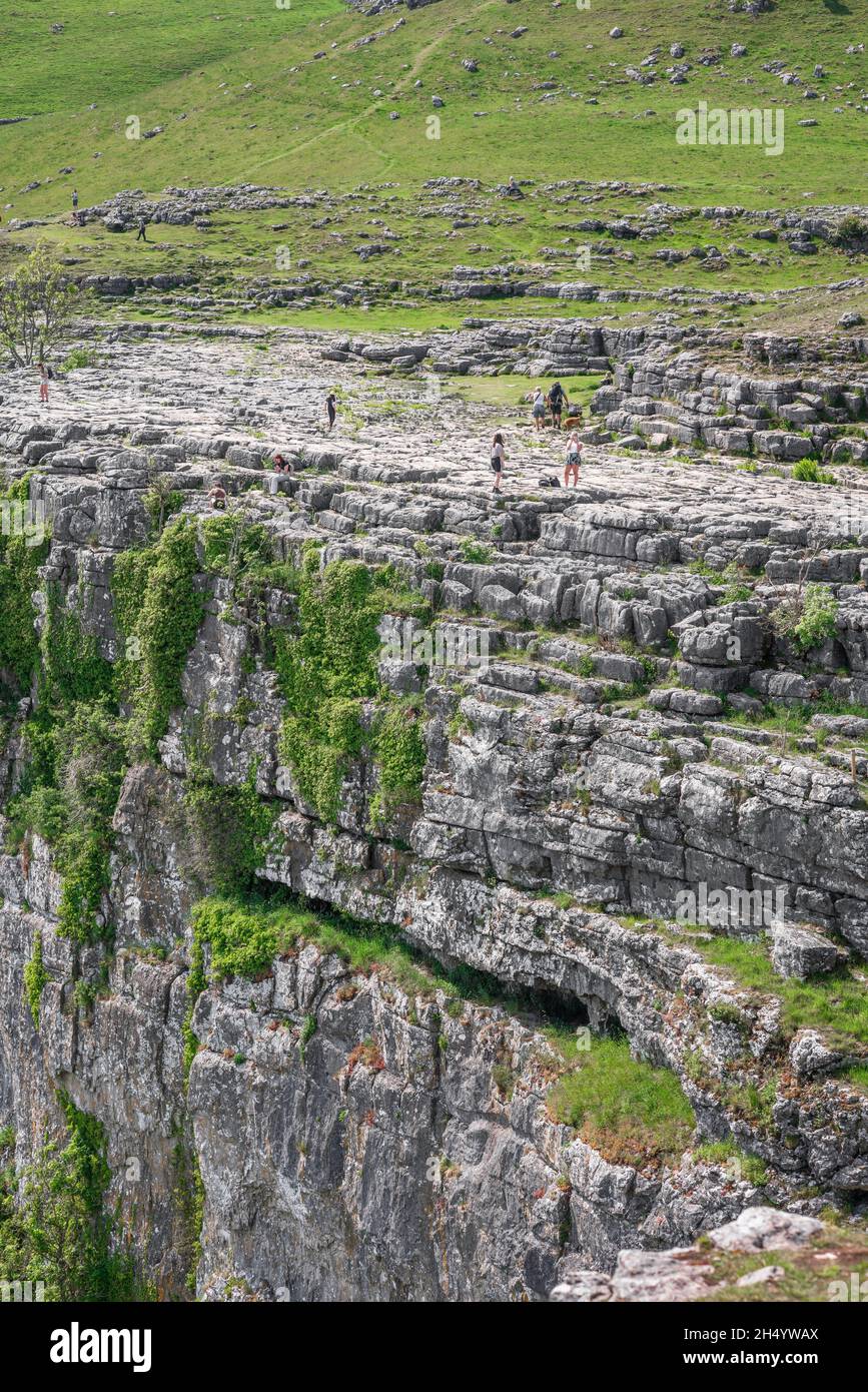 Malham Cove, view in summer of Malham Cove, a 260ft limestone cliff in ...