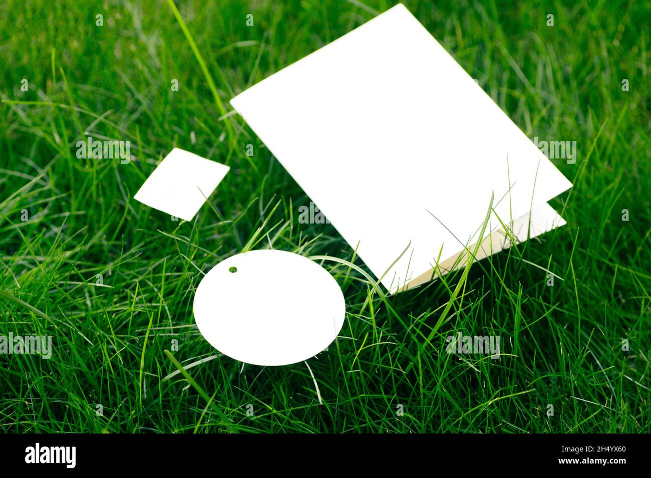 creative layout composition frame made of green grass lawn with white ...