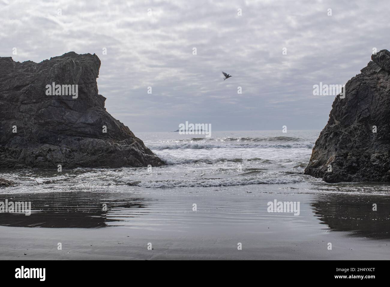 Two seas stacks frame Destruction Island Lighthouse visible in the ...