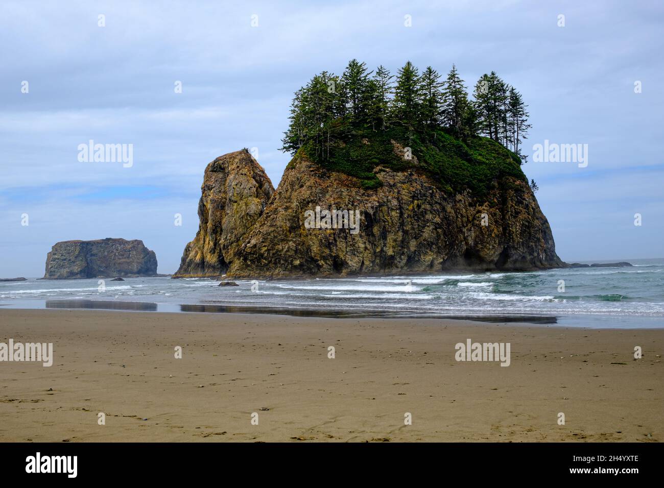 Massive sea stack plays host to a grove of trees as water laps against ...