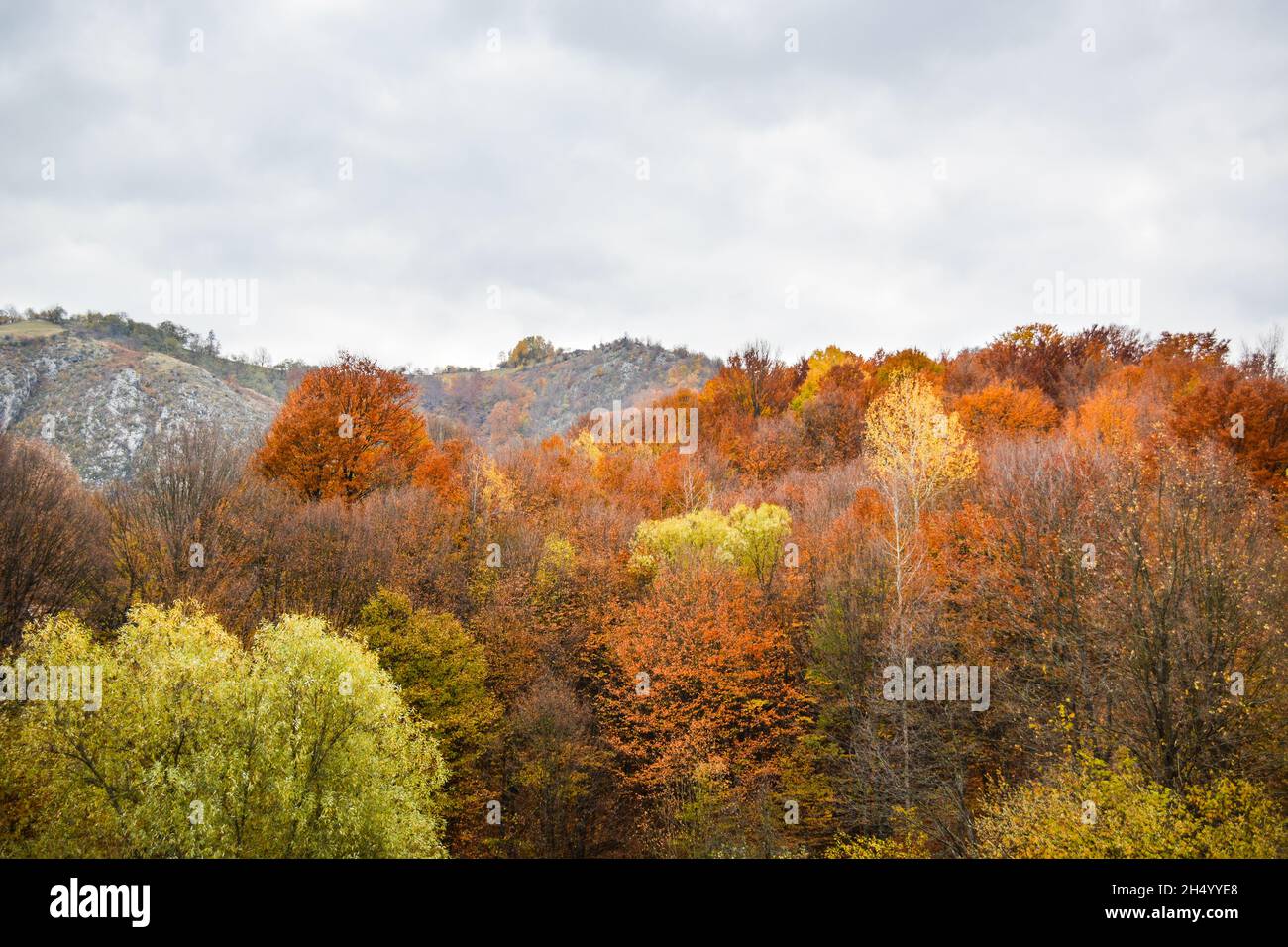 Mountain Autumn scenery with colorful trees Stock Photo - Alamy