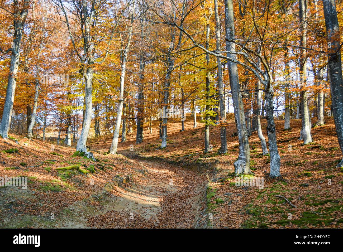Mountain autumn scenery hi-res stock photography and images - Alamy