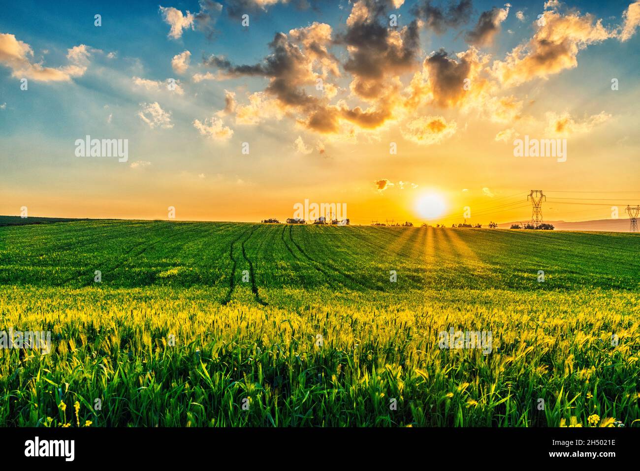 Wheat dawn sun rays sunset hi-res stock photography and images - Alamy