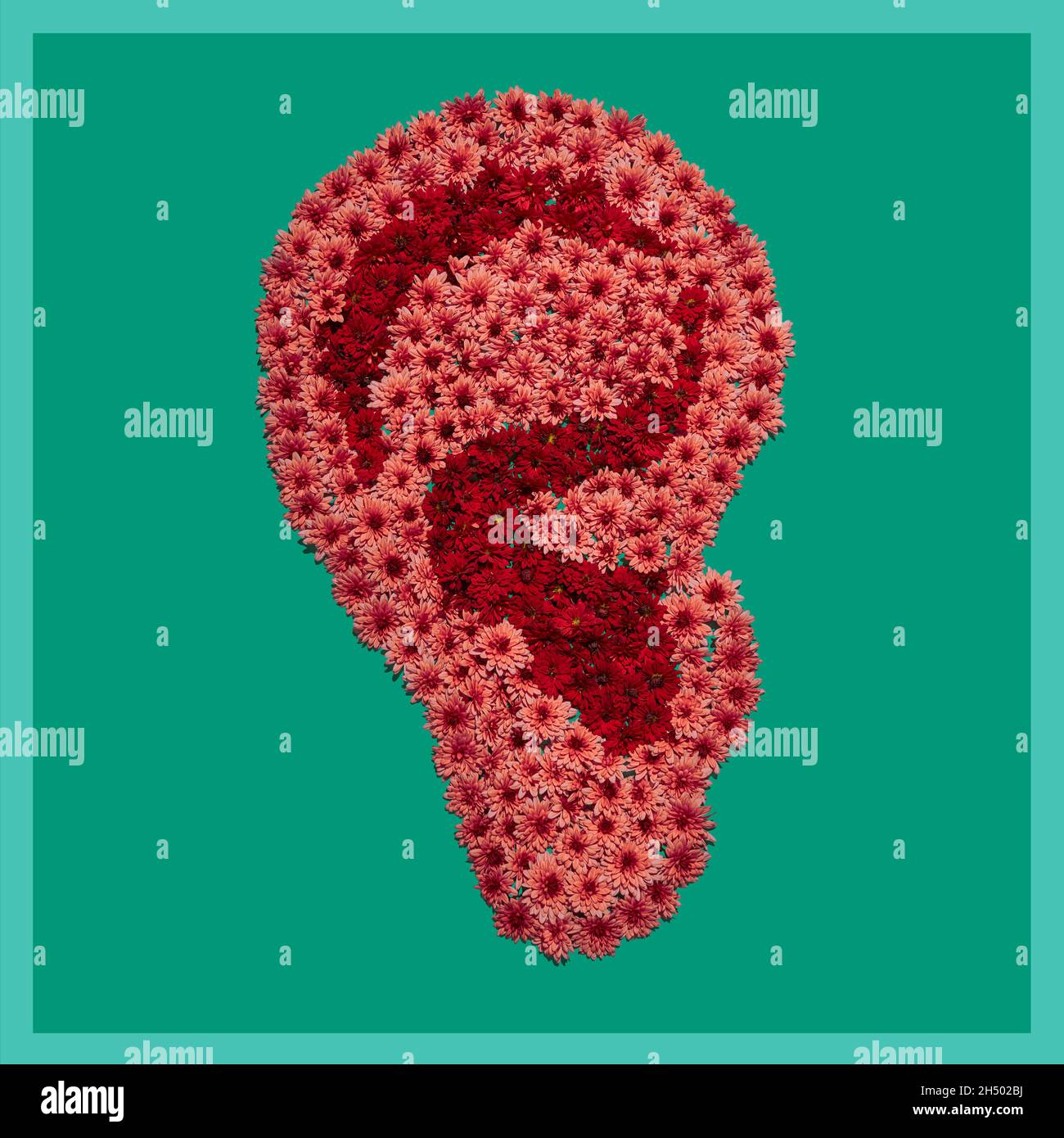 Shape of human ear, flower installation, hearing health concept. Part ...