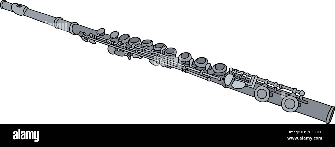 Hand drawing of a classic flute Stock Vector Image & Art - Alamy