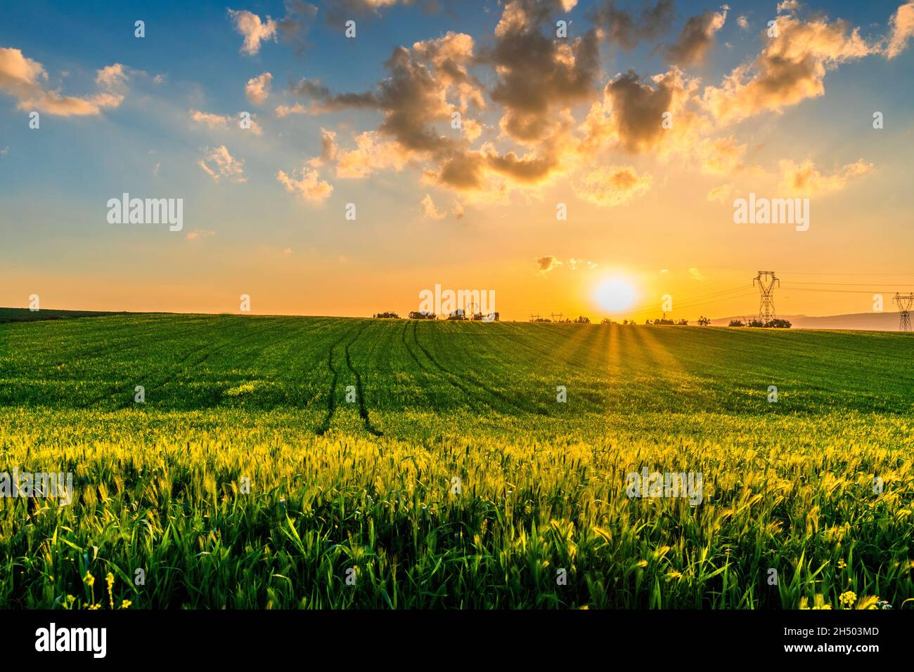Wheat dawn sun rays sunset hi-res stock photography and images - Alamy
