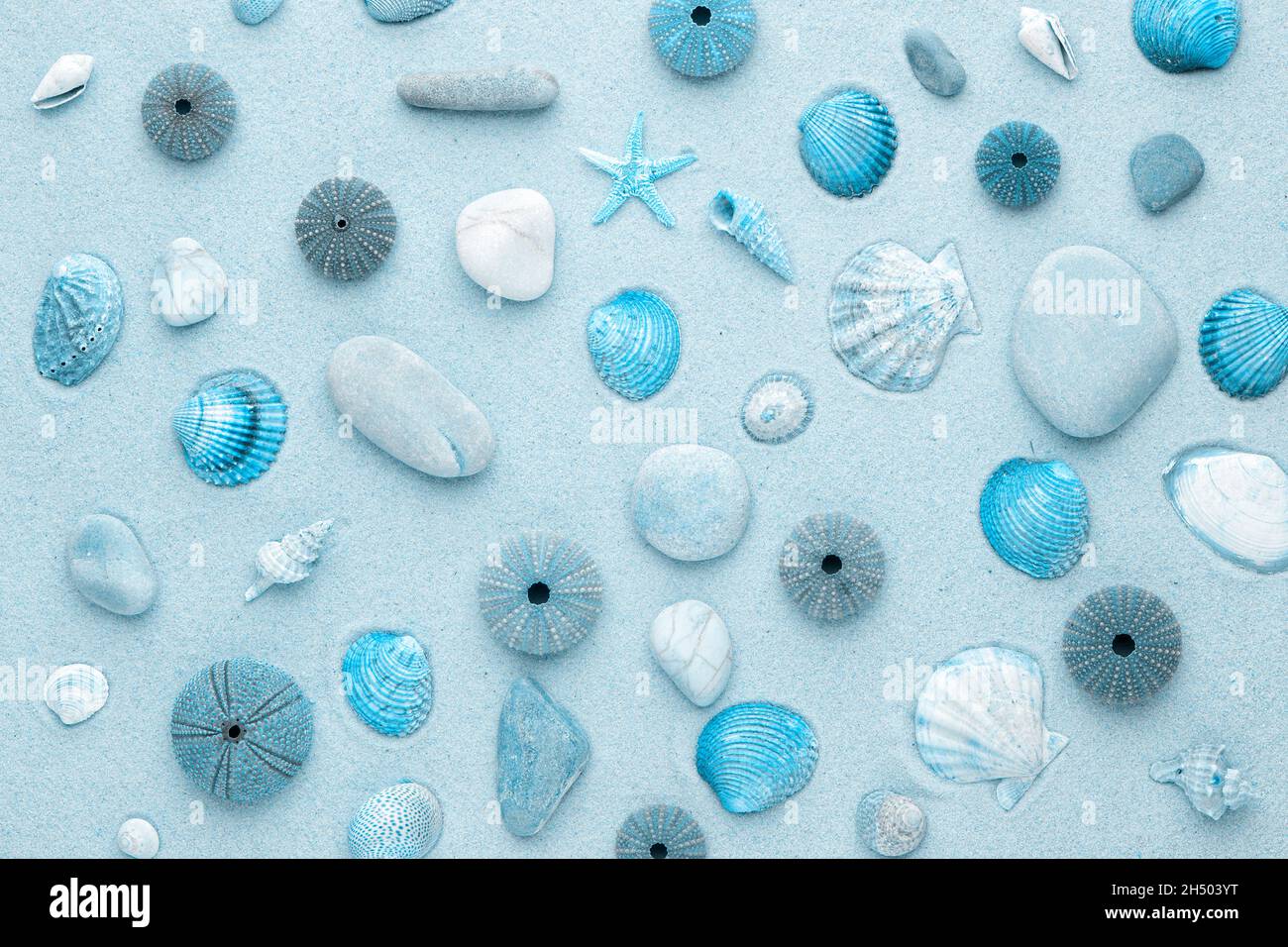 Sea shells and star fish Stock Photo - Alamy