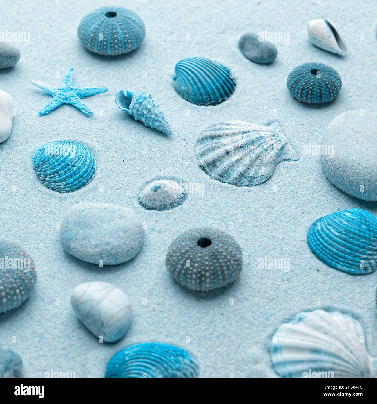 Sea shells and star fish Stock Photo - Alamy