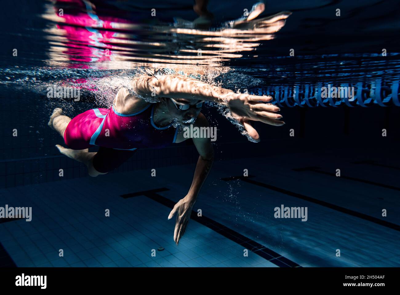 Underwater shooting. One female swimmer training at pool, indoors ...