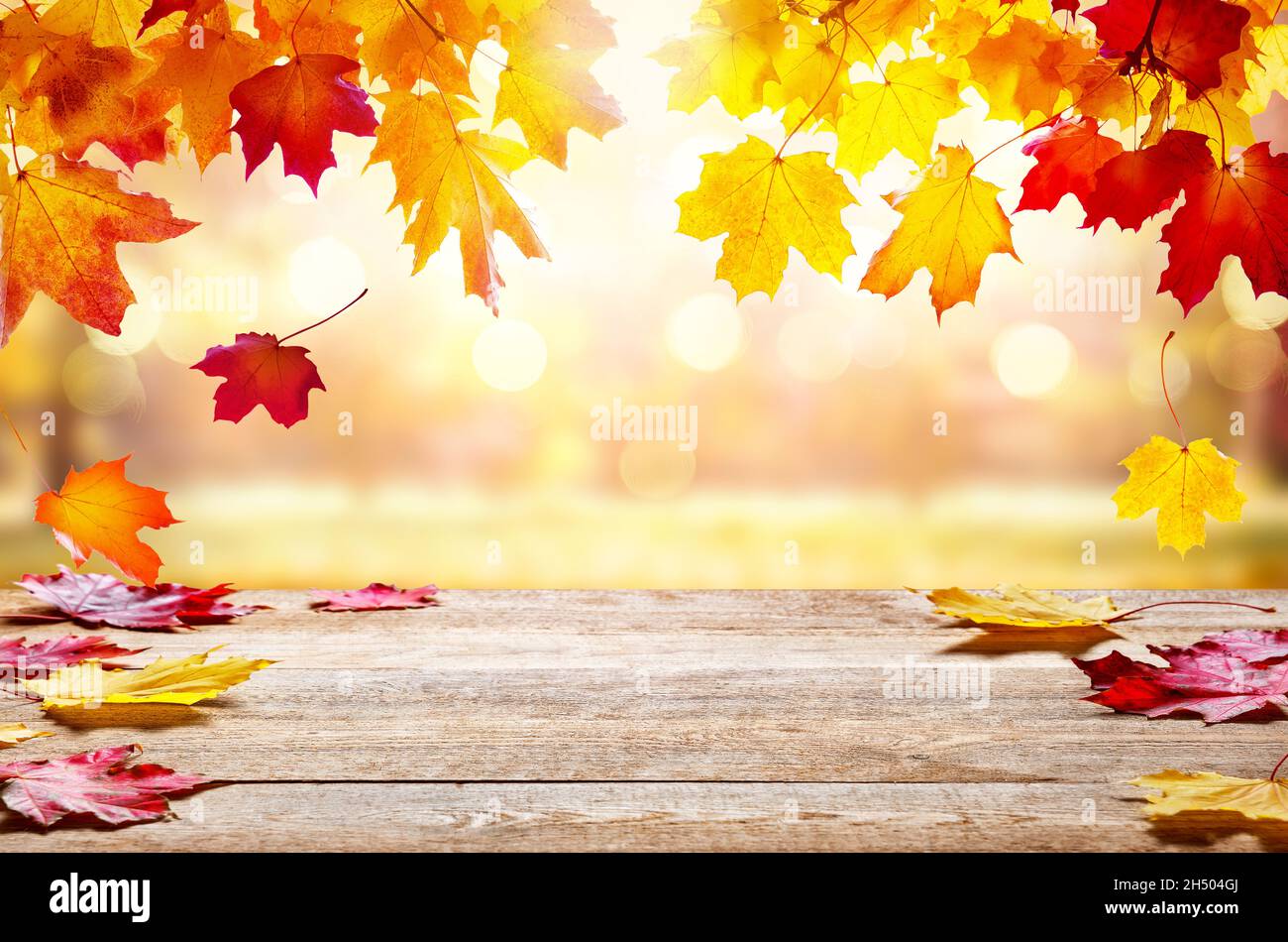 Wooden table top on blur autumn background. Autumn golden abstract background with bokeh light ...