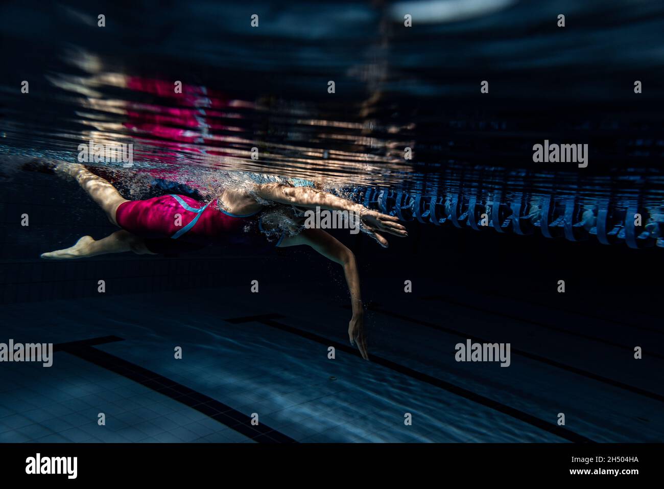 Underwater shooting. One female swimmer training at pool, indoors ...