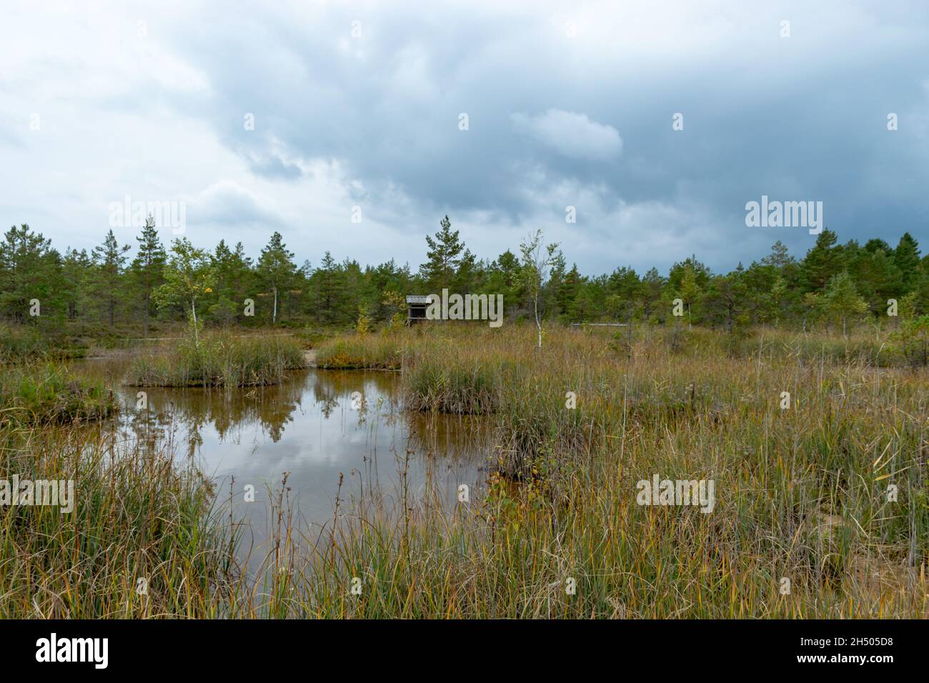 landscape with Sulfur Pond, which are water llamas formed on the ...