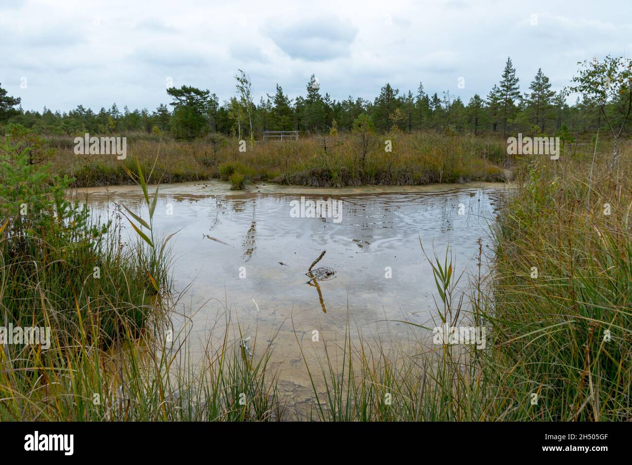 landscape with Sulfur Pond, which are water llamas formed on the ...