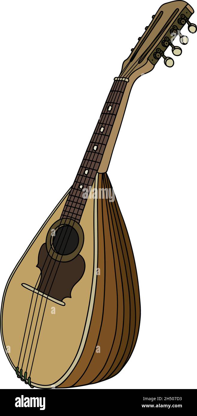Hand drawing of a classic mandolin Stock Vector Image & Art - Alamy