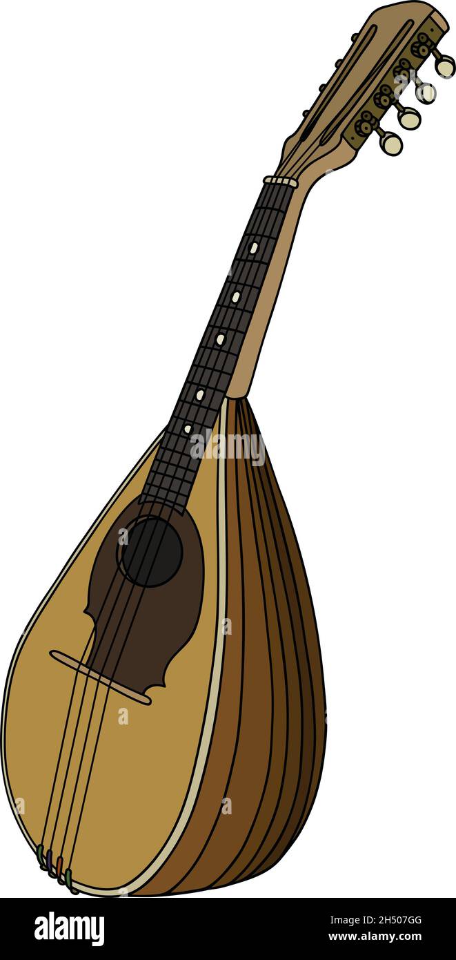 Hand drawing of a classic mandolin Stock Vector Image & Art - Alamy
