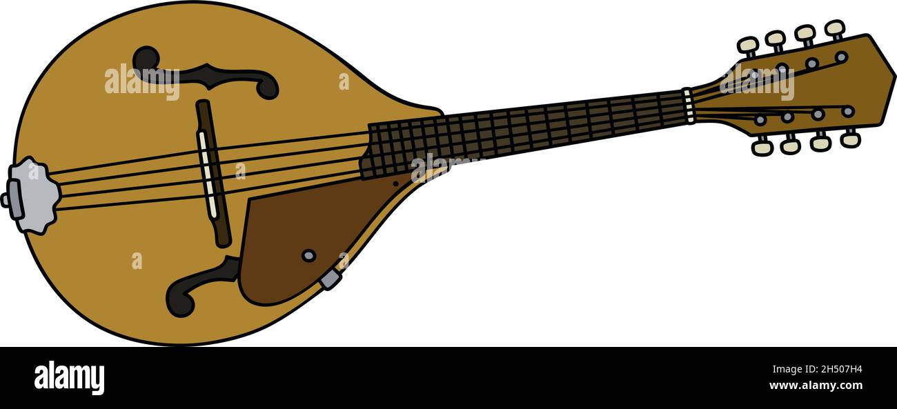 Hand drawing of a classic country mandolin Stock Vector Image & Art - Alamy