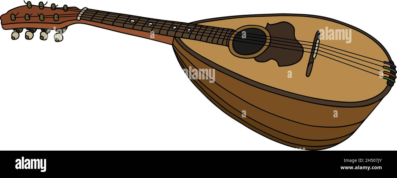 Hand drawing of a classic mandolin Stock Vector Image & Art - Alamy