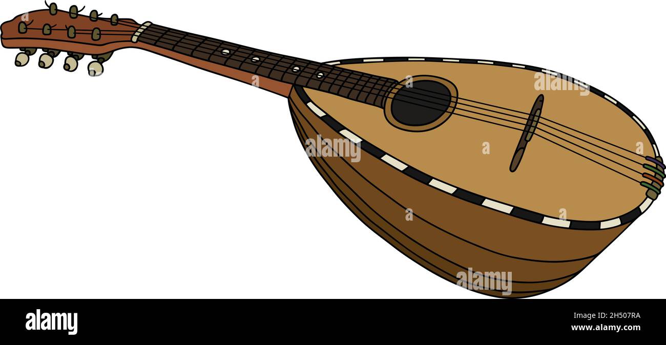 Hand drawing of an old italy mandolin Stock Vector Image & Art - Alamy