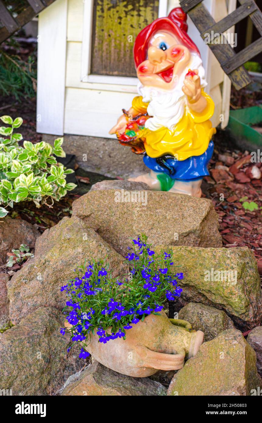 Blue lobelia flowers in interior of garden. Studio Photo Stock Photo ...