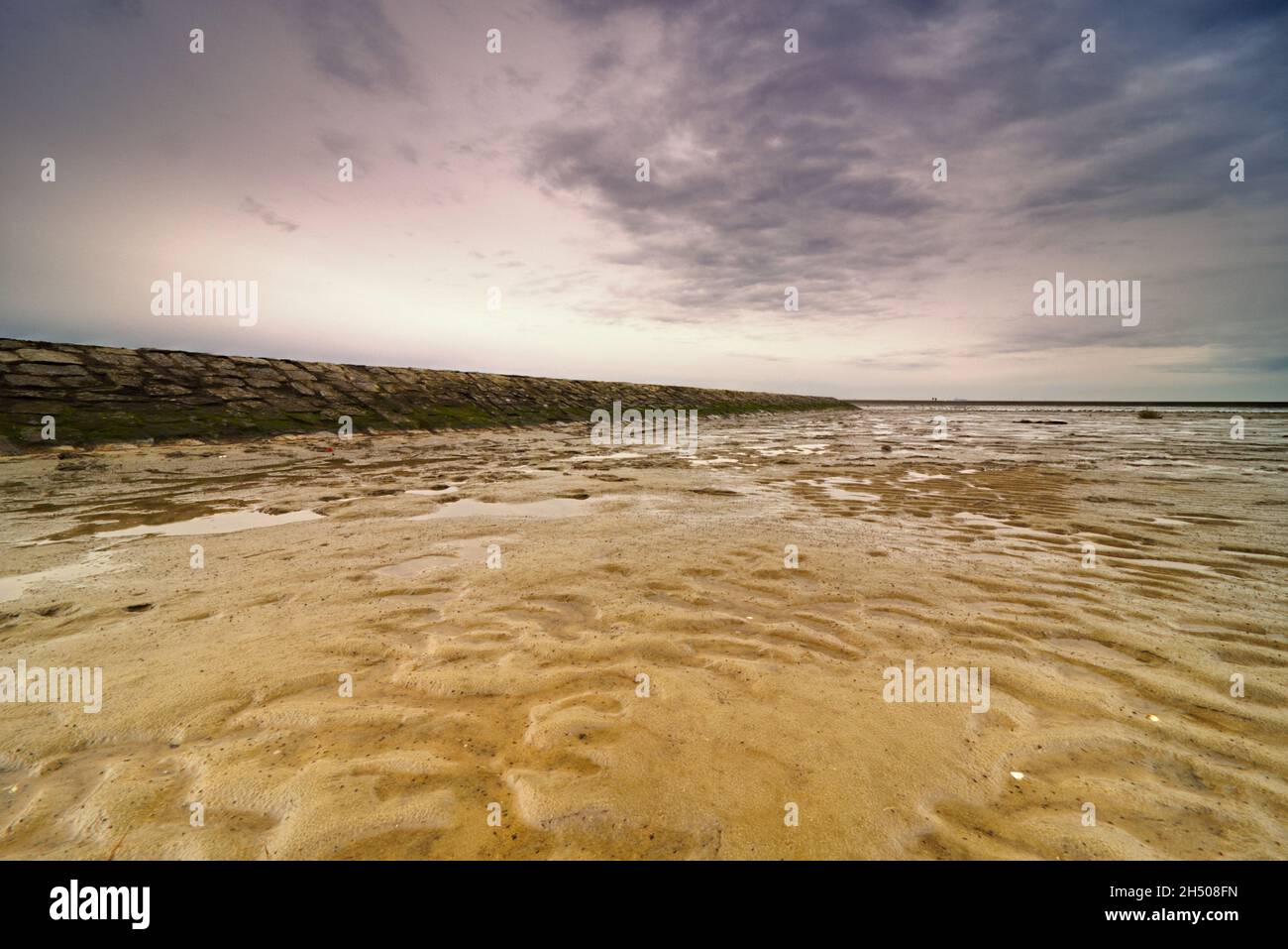 Groin on beach hi-res stock photography and images - Alamy