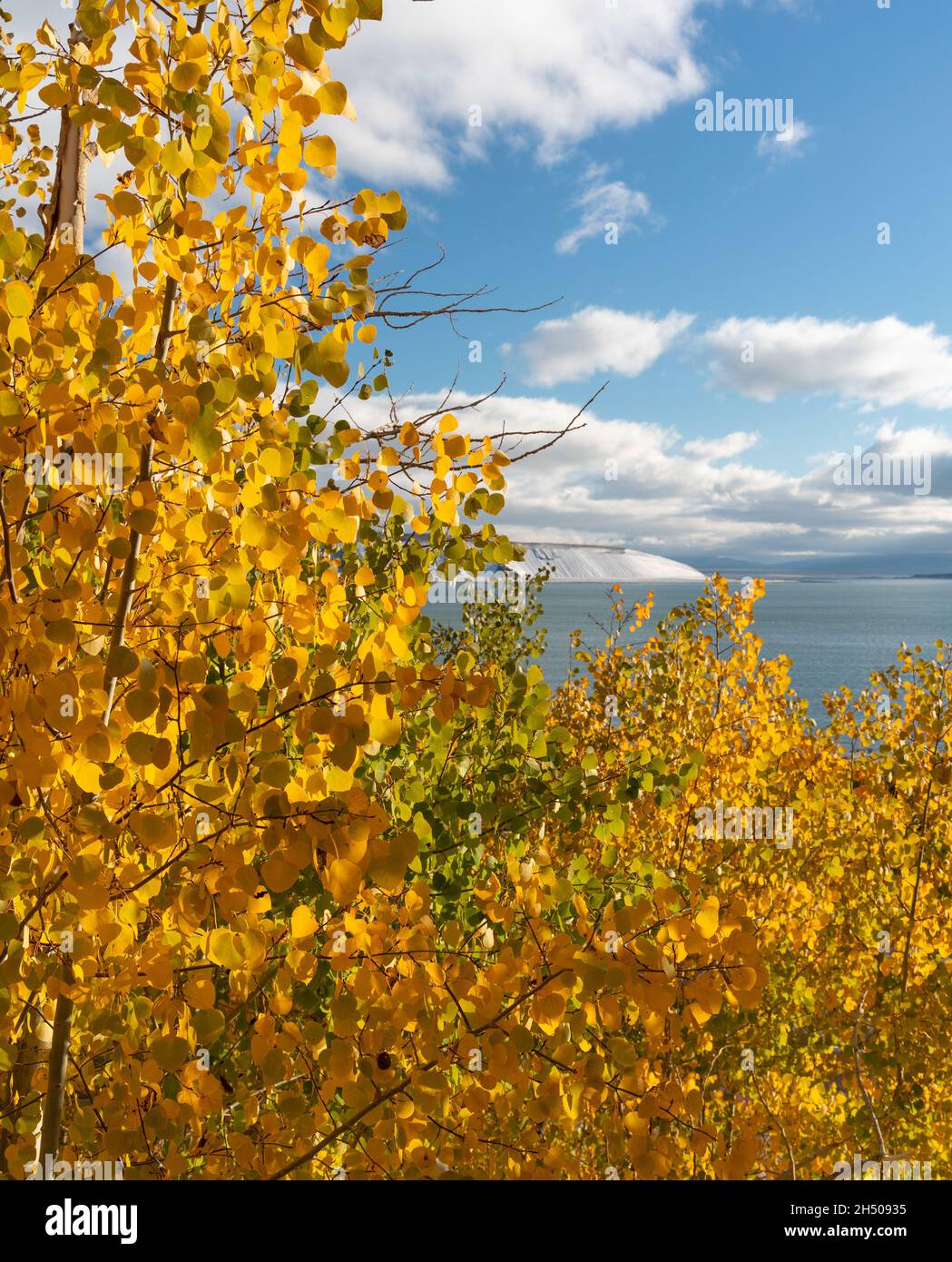 Mono fall colors hi-res stock photography and images - Alamy