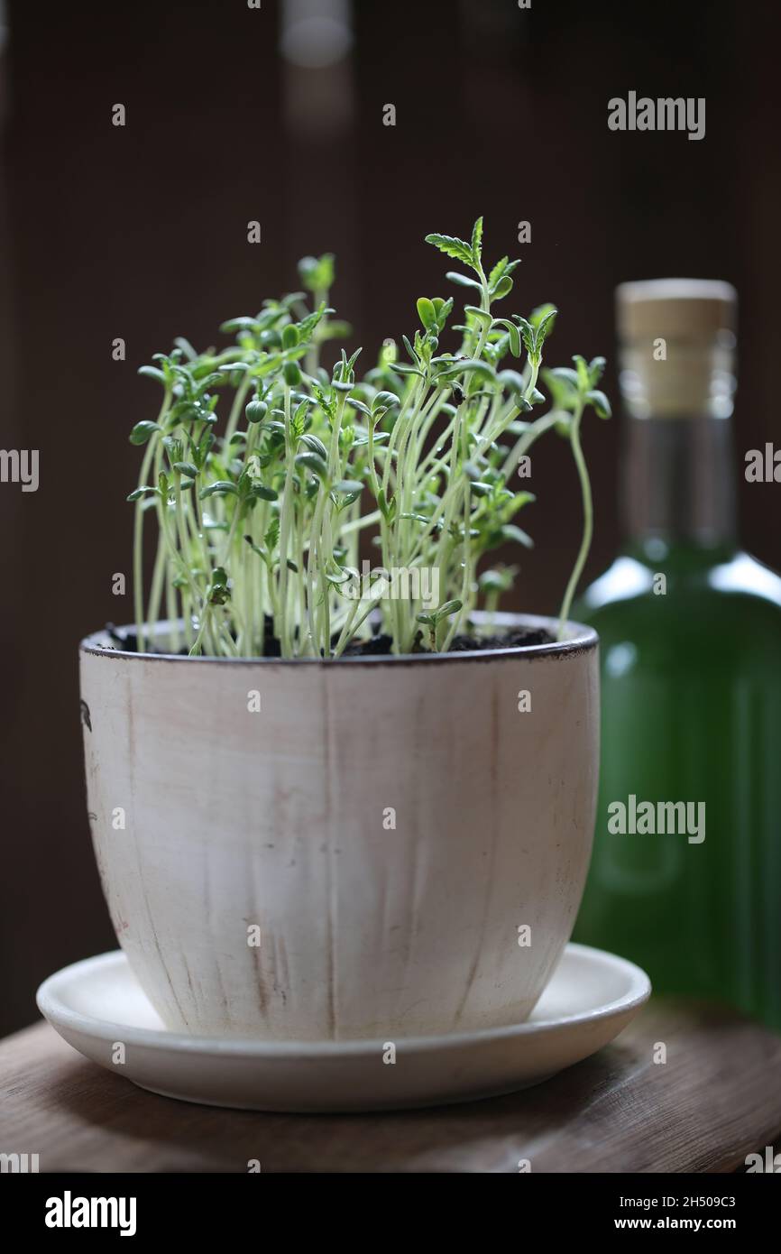 Add accurate and relevant keywords to help customers find your imagery ...