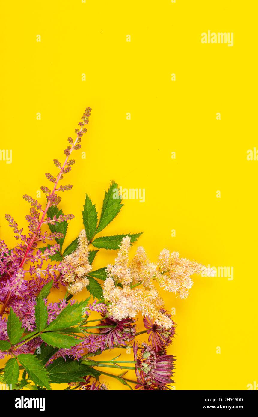Frame mock up with garden bright flowers on yellow background. Studio ...