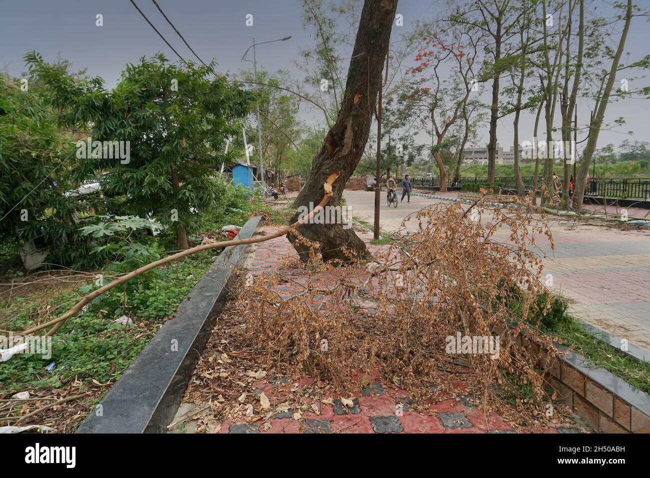 Howrah, West Bengal, India - 31st May 2020 : Super cyclone Amphan ...