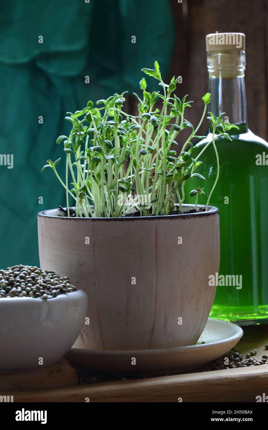 Add accurate and relevant keywords to help customers find your imagery ...