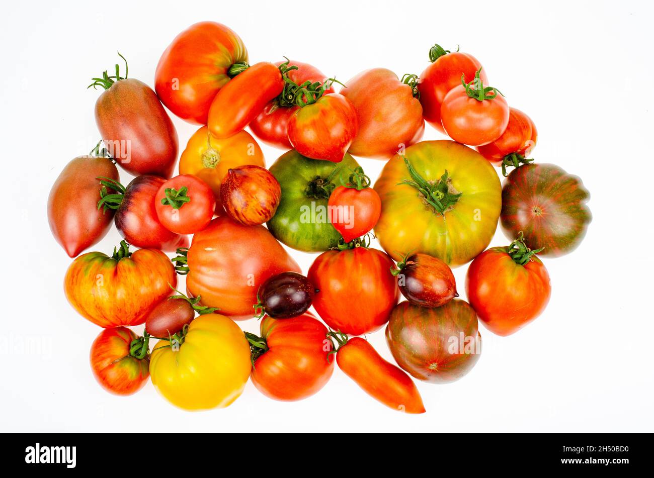Colored tomatoes of different varieties on white background. Studio ...