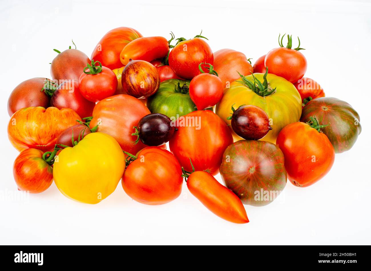 Colored tomatoes of different varieties on white background. Studio ...