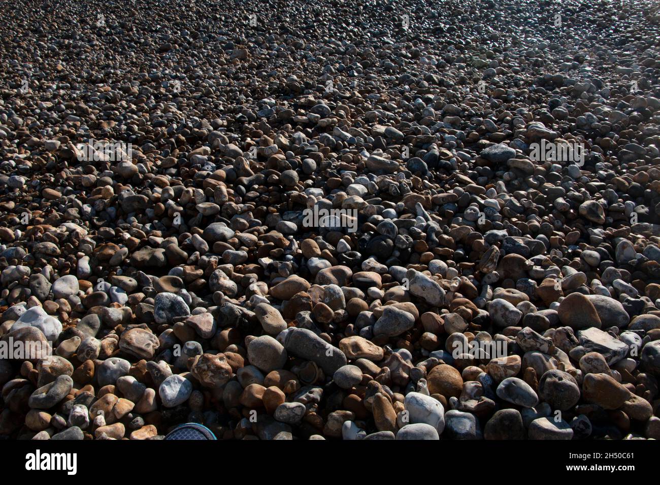Beach pebbles rocks shells hi-res stock photography and images - Alamy