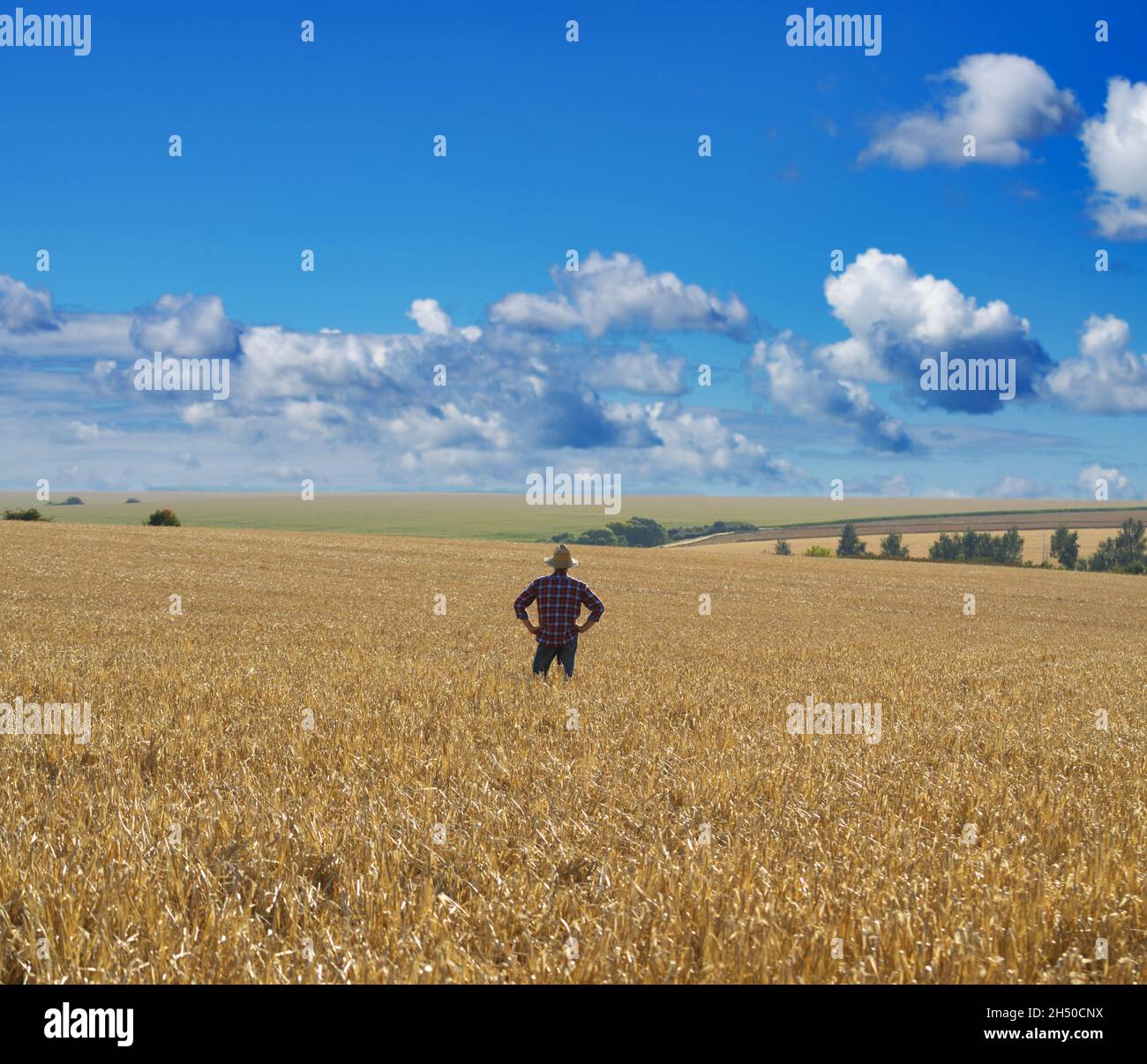 Farmer in straw hat stands at harvest ready wheat field Stock Photo - Alamy