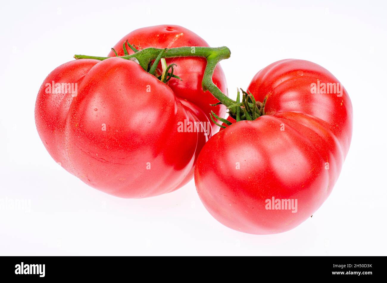 Fresh ripe organic tomatoes on white background. Studio Photo Stock ...