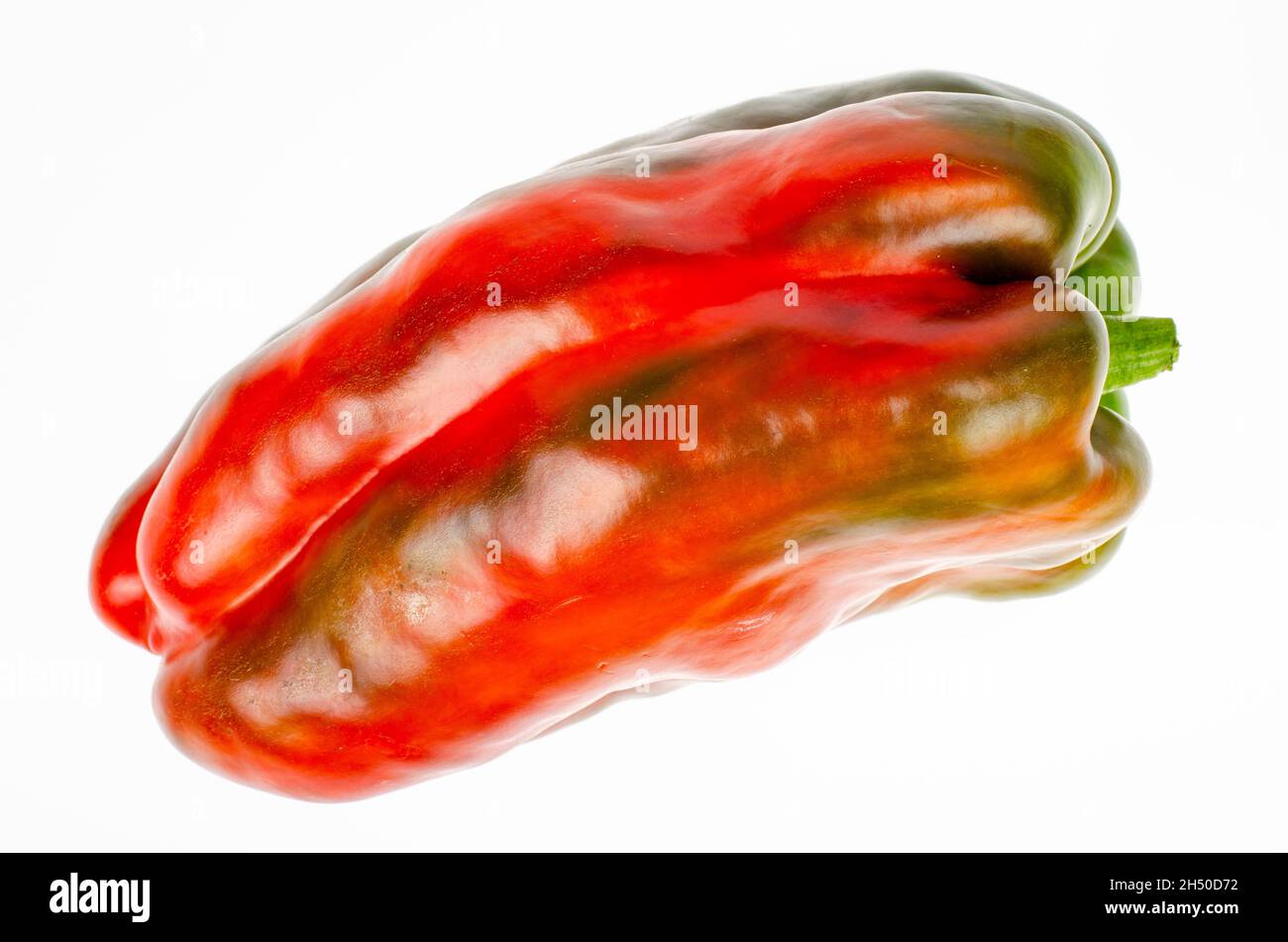 Large fruit of sweet bell pepper isolated on white background. Studio ...