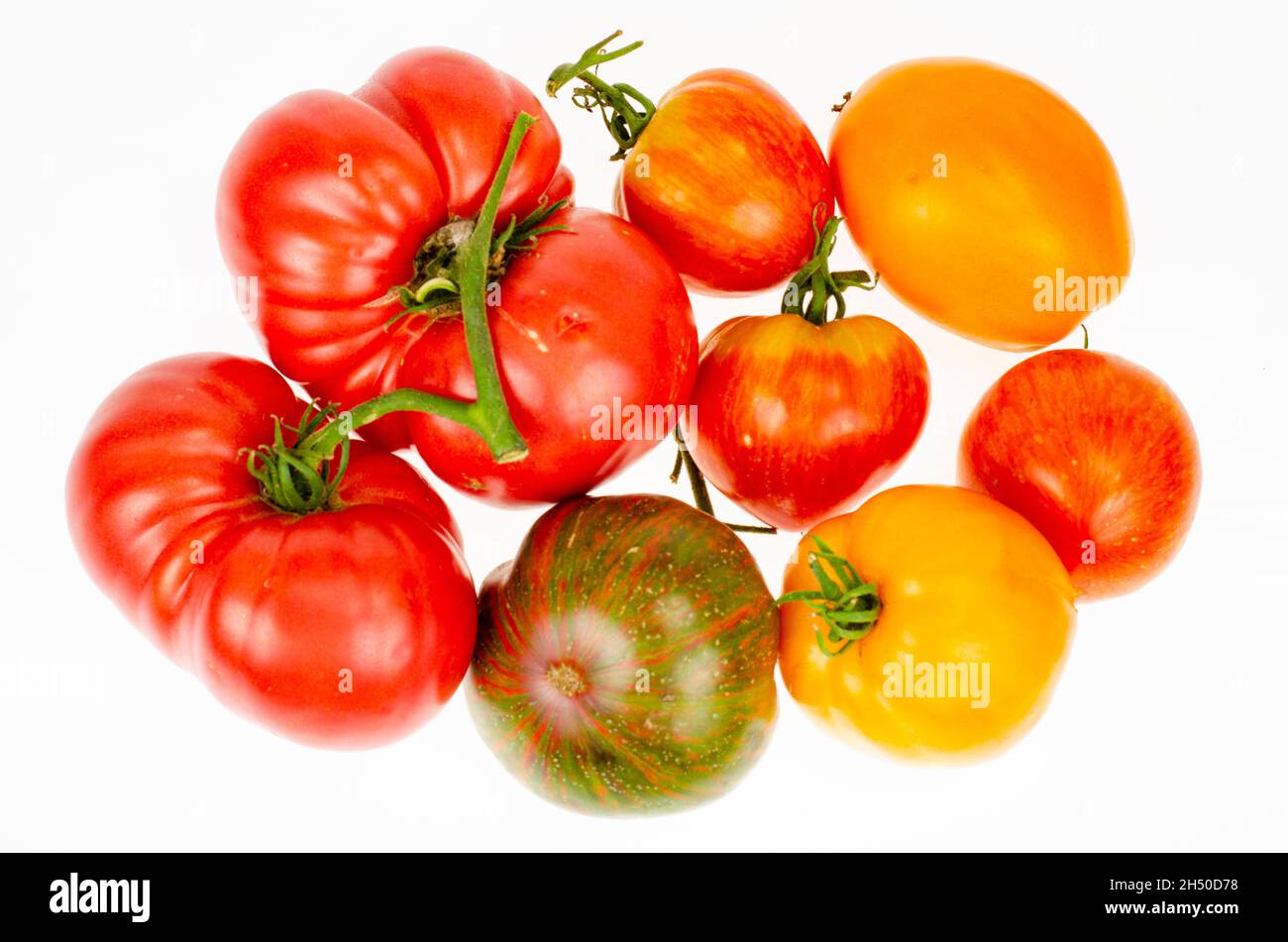 Tomatoes of different varieties and colors on white background ...