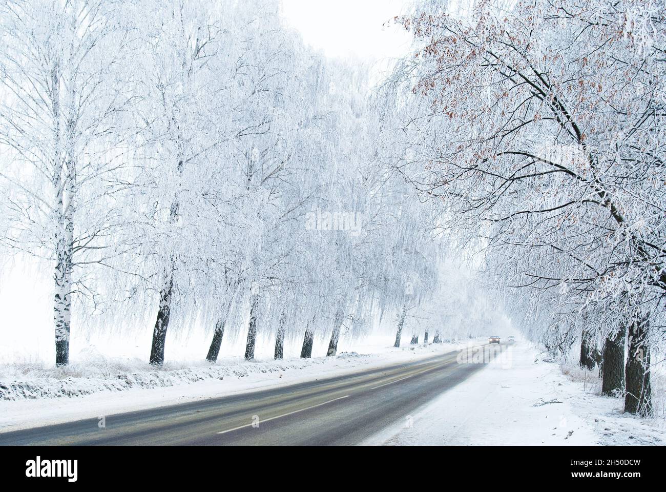 Rural frosted icy road among trees after snowstorm wintertime Stock ...