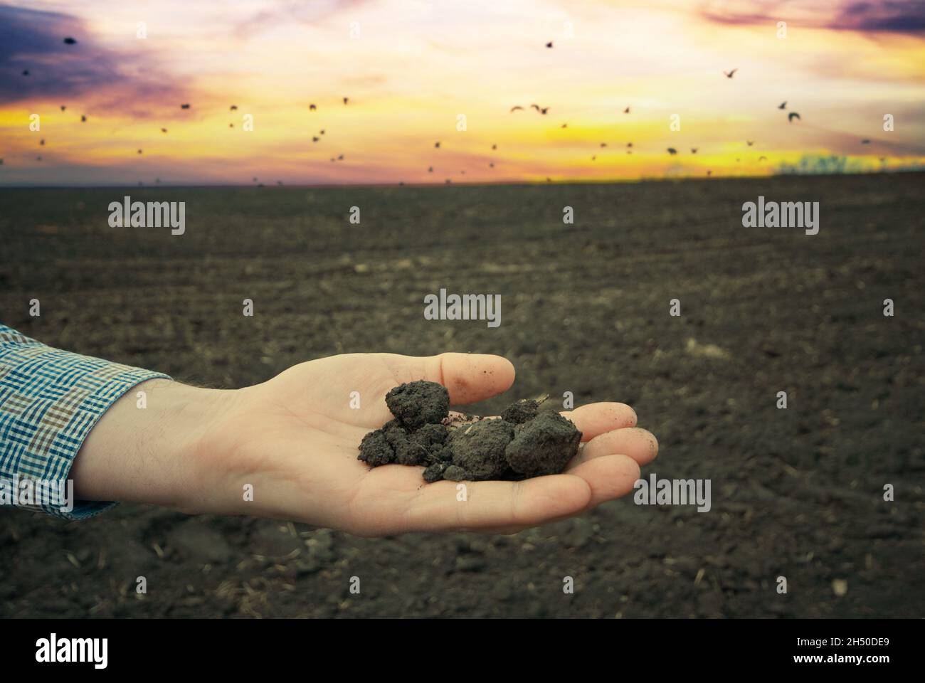 Soil holding hand farm hi-res stock photography and images - Alamy