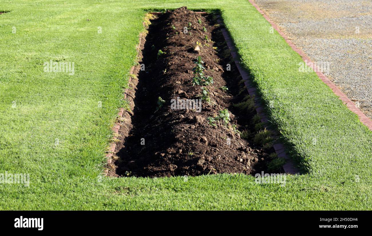 Dug garden bed hi-res stock photography and images - Alamy