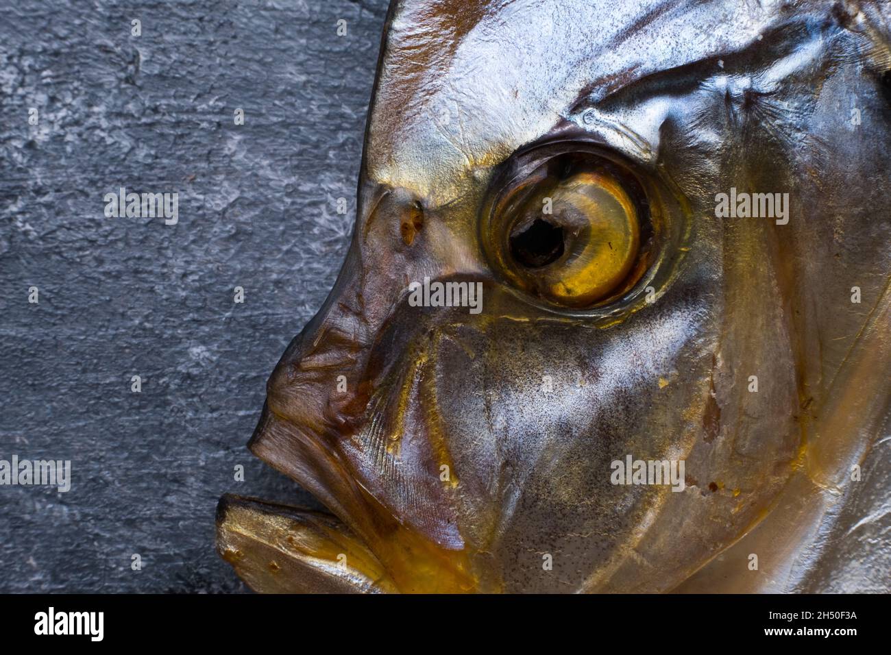 Fish head close up Stock Photo - Alamy