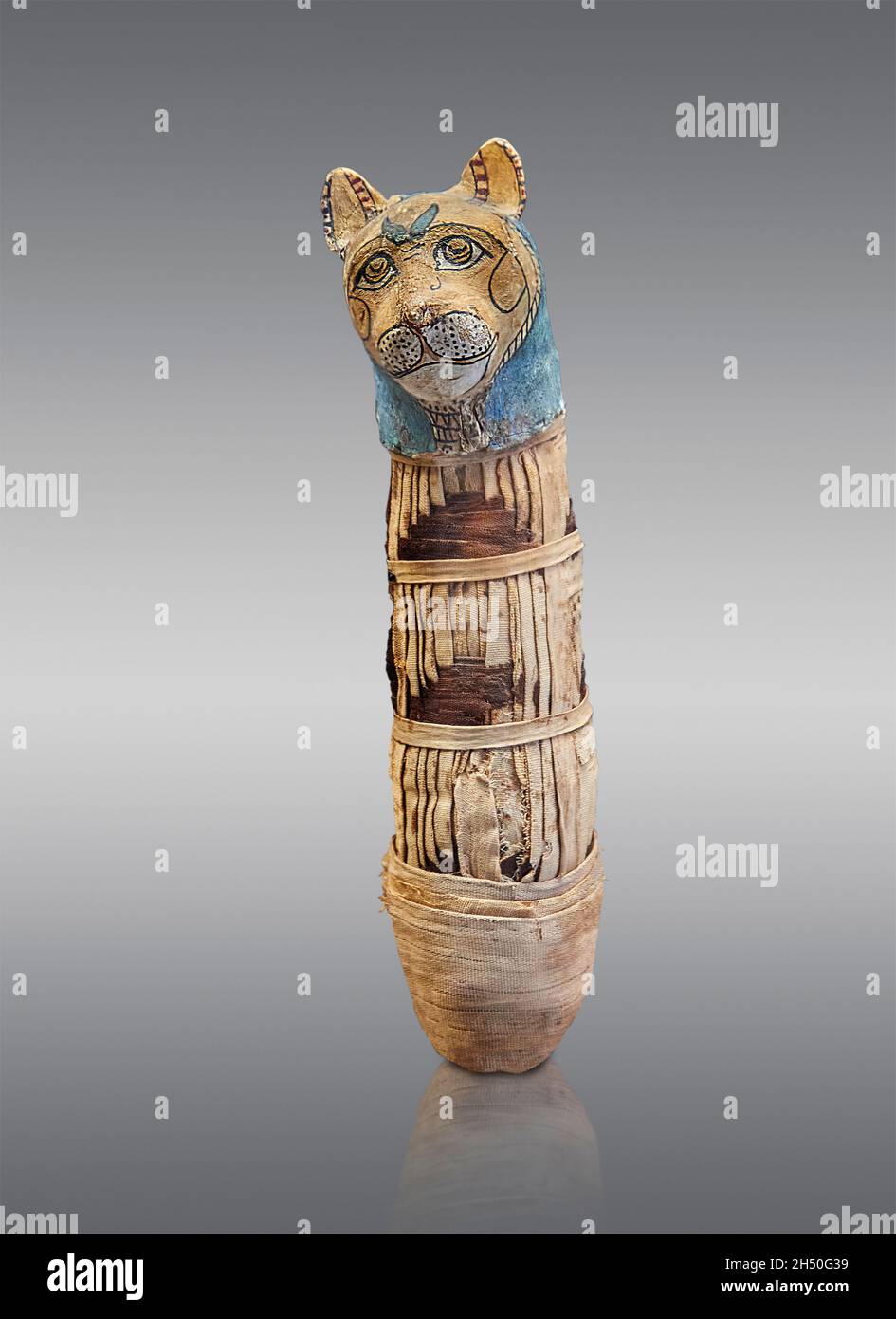 Mummy head hi-res stock photography and images - Alamy