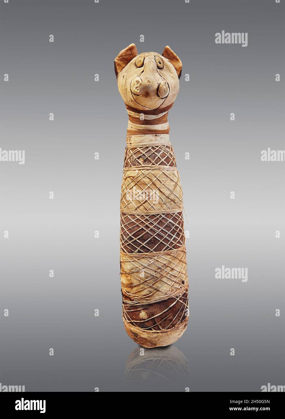 Ancient Egyptian cat mummy, 664-332 BC, Louvre Museum inv 2678B, Cat ...