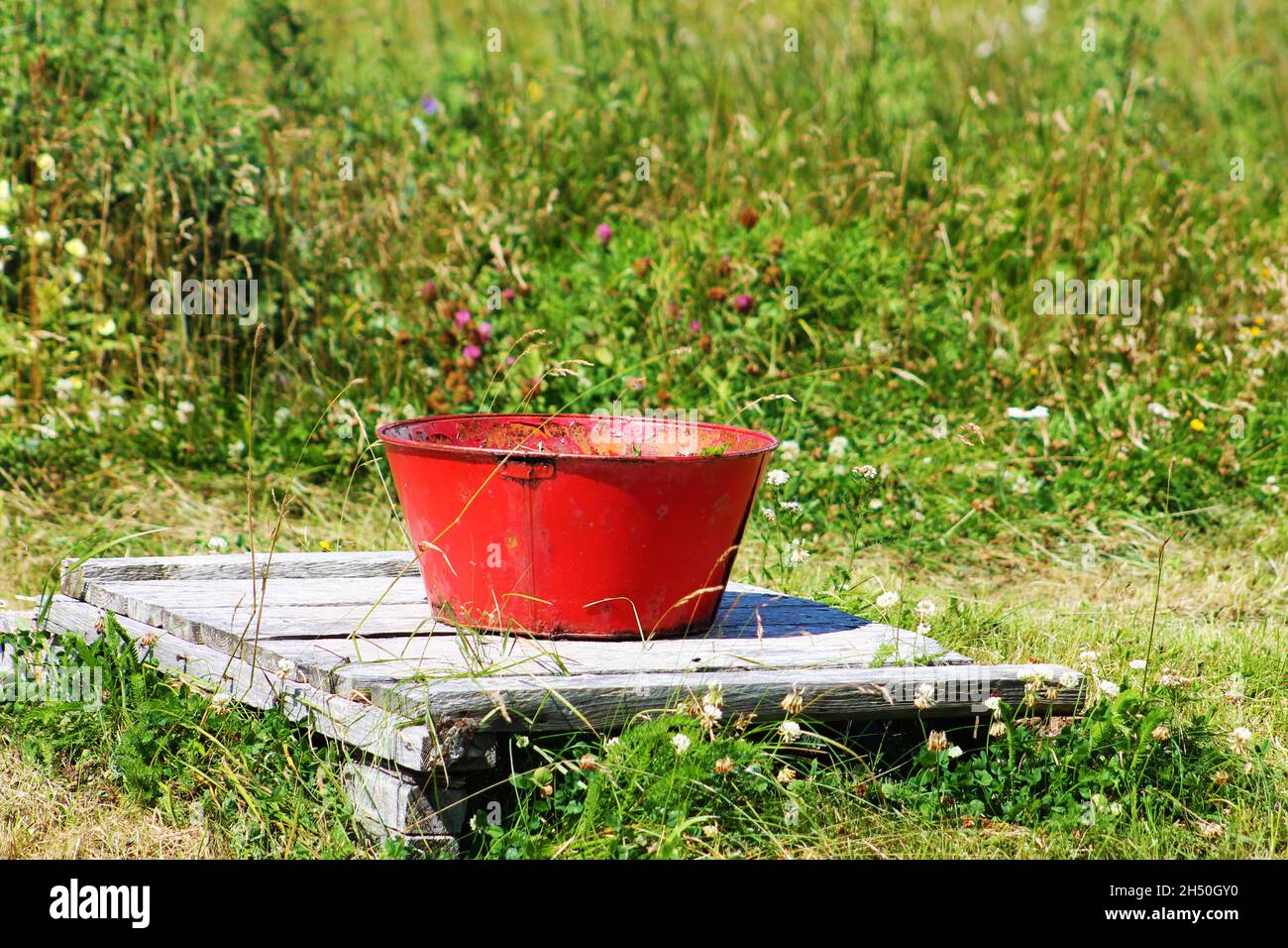 Close-up of an old, red, rusting, steel bucket on top of an old, wooden ...
