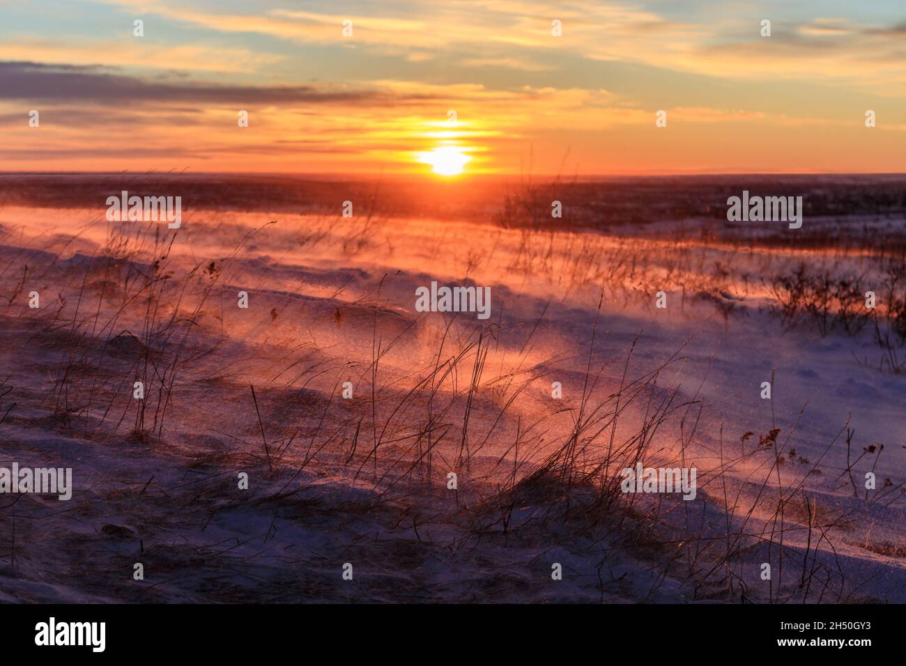 Snowy wind blown field with sun rising on the horizon Stock Photo - Alamy