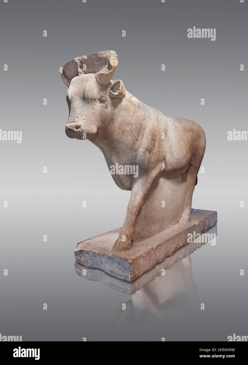Egyptian apis bull hi-res stock photography and images - Alamy