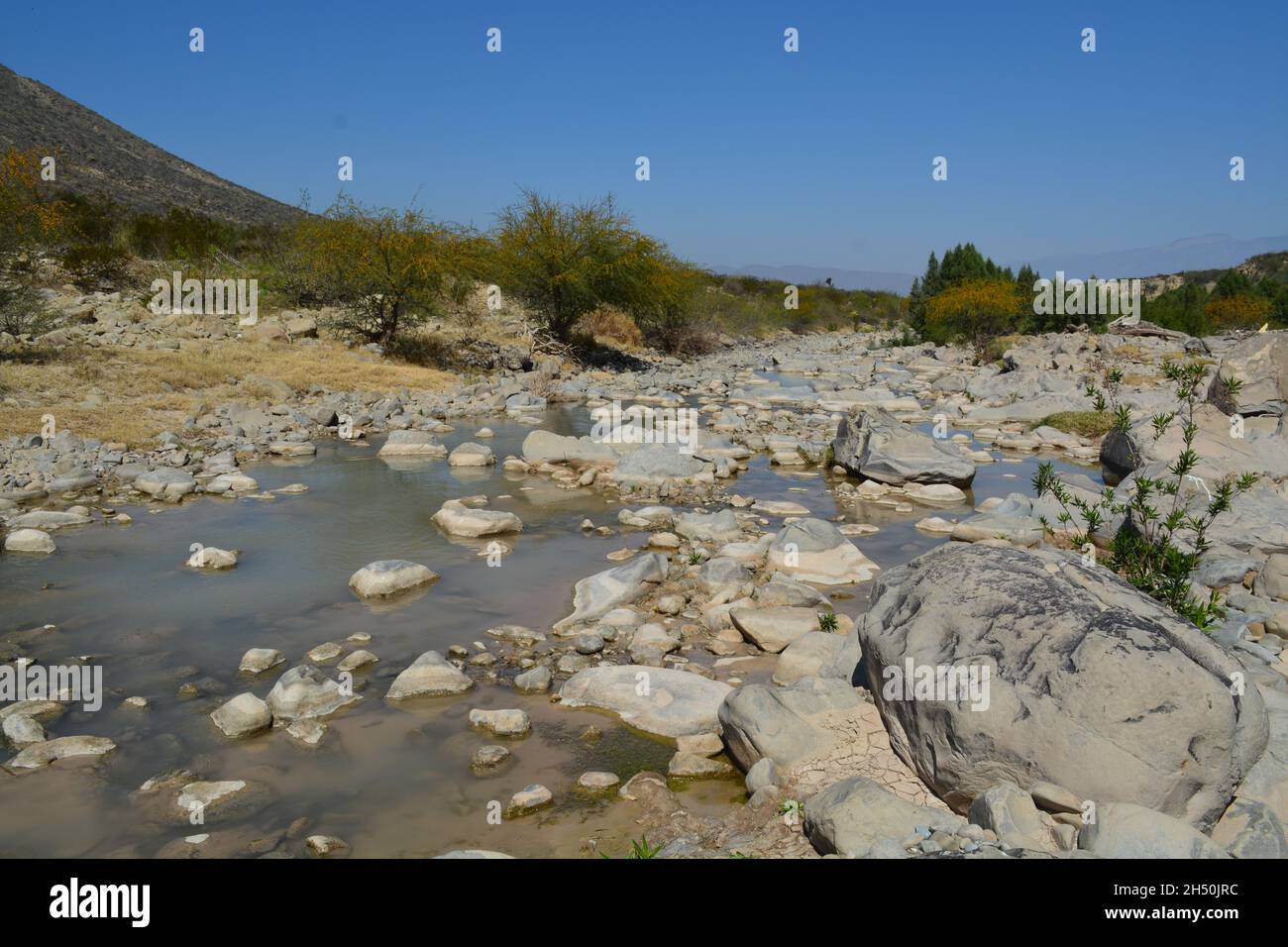 Polluted river and almost dry. North of Mexico Stock Photo - Alamy