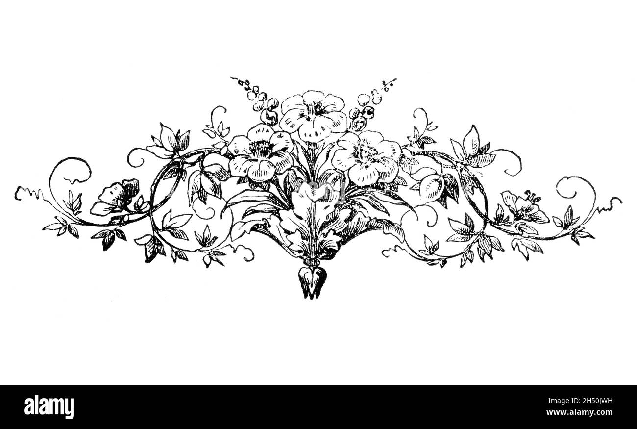 Floral Ornamental Text Divider With Blooming Flowers. Vintage Antique ...